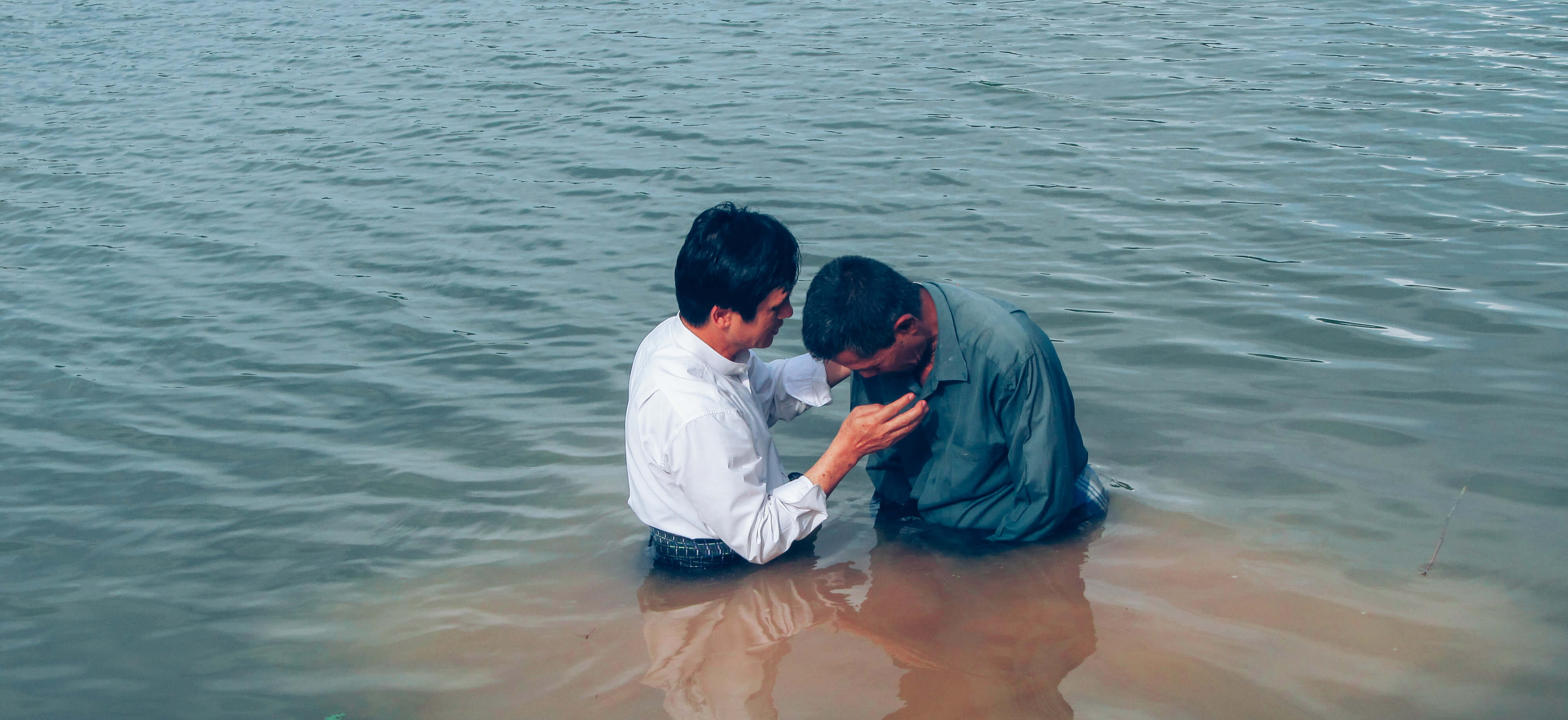 The Timothy Project | GNPI